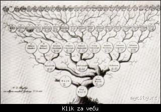 porodično stablo